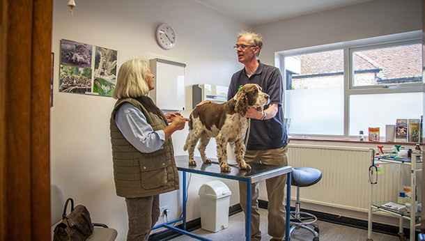 About us | Local Vets in Midhurst, Haslemere and Liphook - Woodland Vet ...