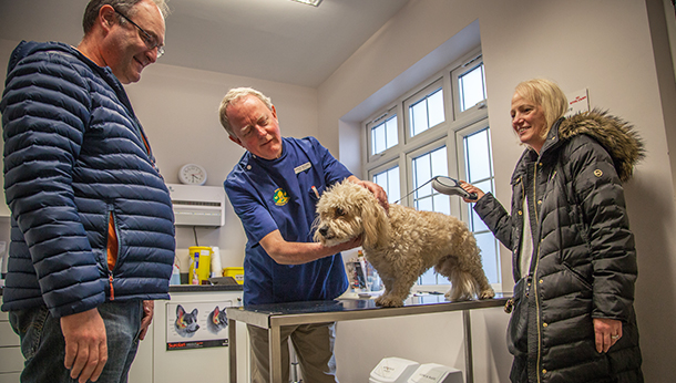 About us | Local Vets in Midhurst, Haslemere and Liphook - Woodland Vet ...