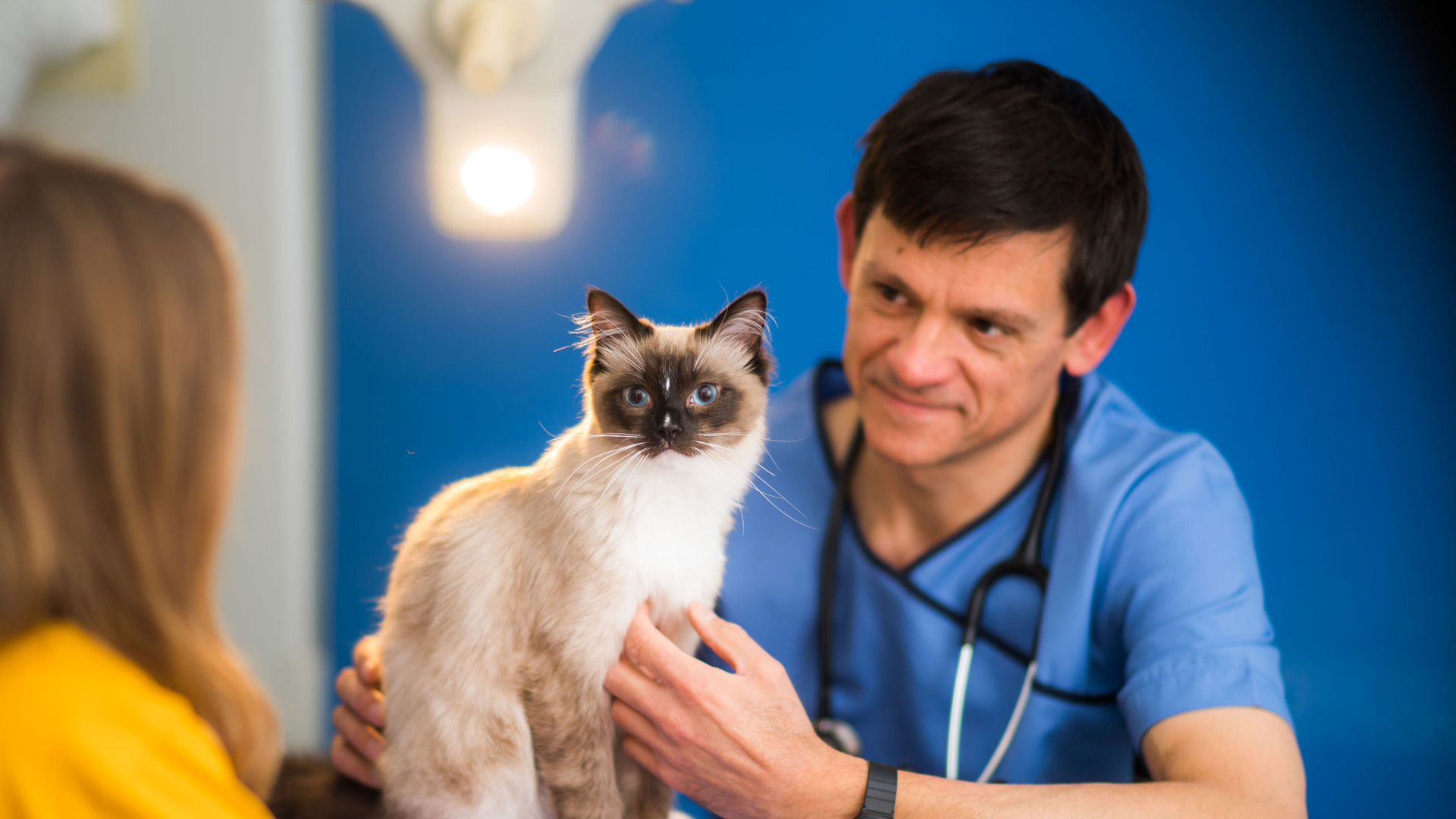 Affordable Vet Care | Bristol - Zetland Vets
